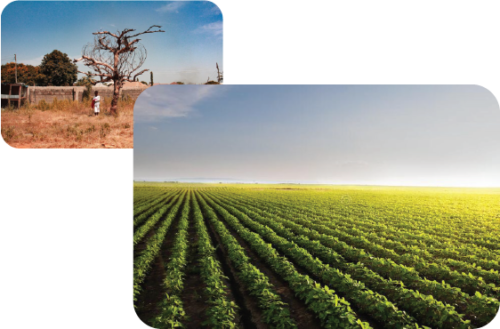 ACReSAL – Agro-Climatic Resilience in Semi-Arid Landscapes